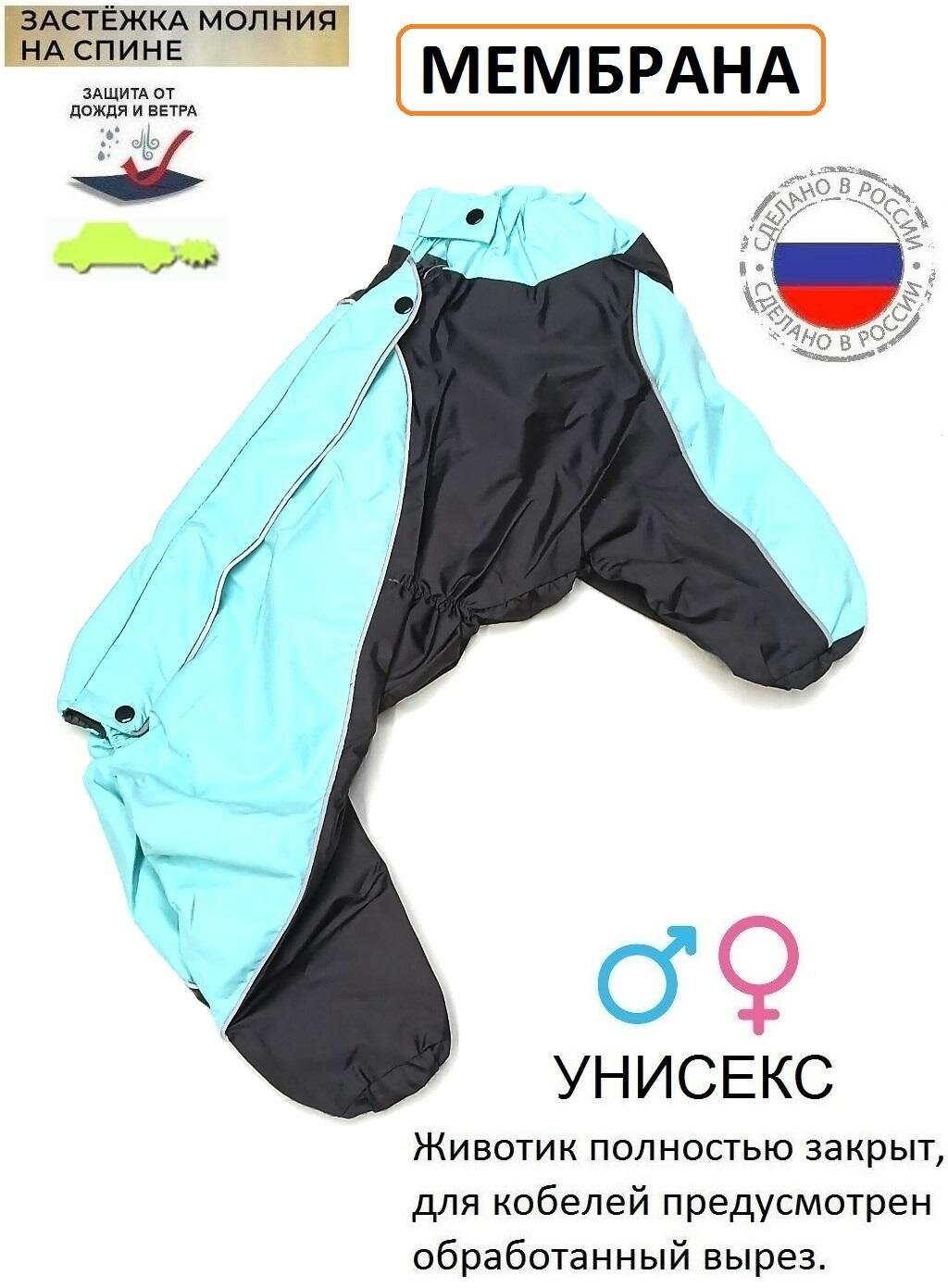 ZooAvtoritet Комбинезон-Дождевик Малый пудель мембрана (38см )
