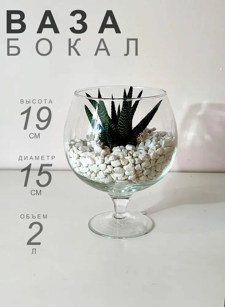 Ваза