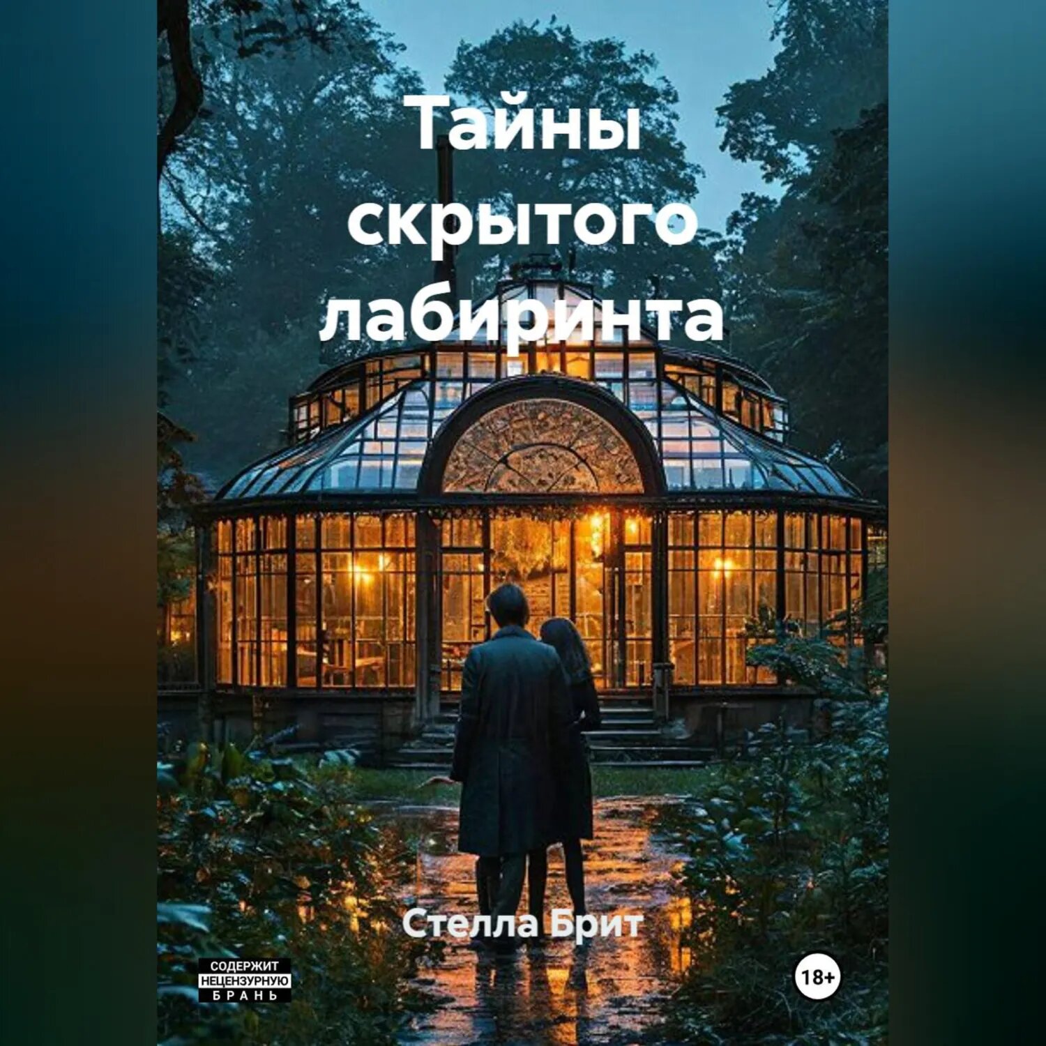 Тайны скрытого лабиринта [Аудиокнига]