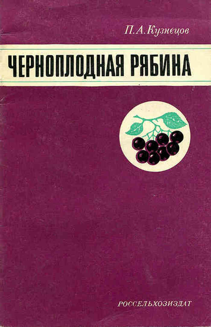 Черноплодная рябина