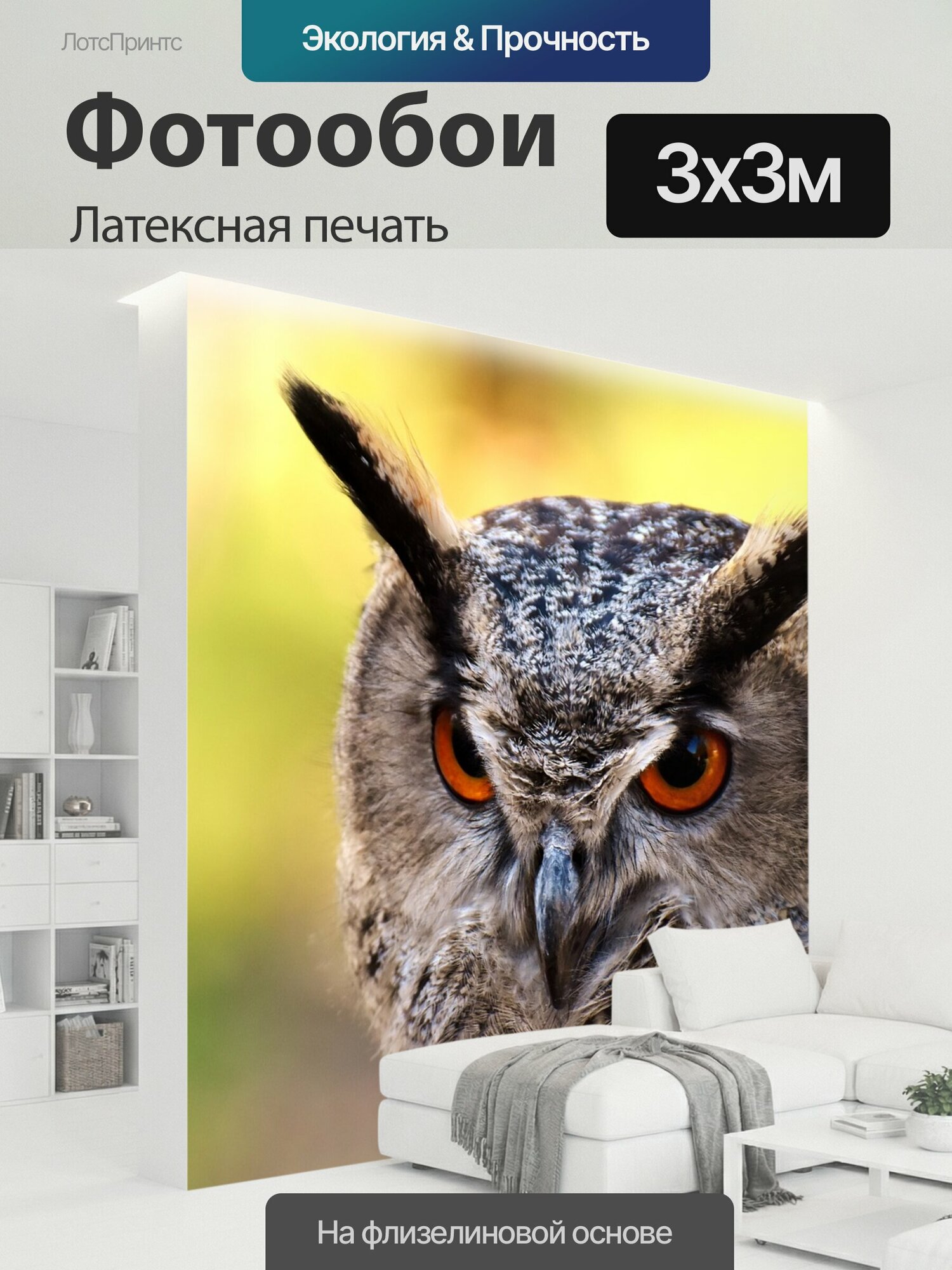 Фотообои моющиеся ударопрочные "Сова, птица, перья" 300x300 см. латексная печать