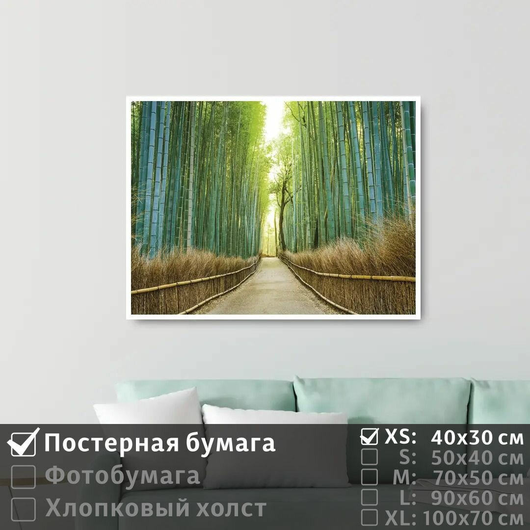 Постер на стену Бамбуковый Лес В Японии 40х30 см ПолиЦентр
