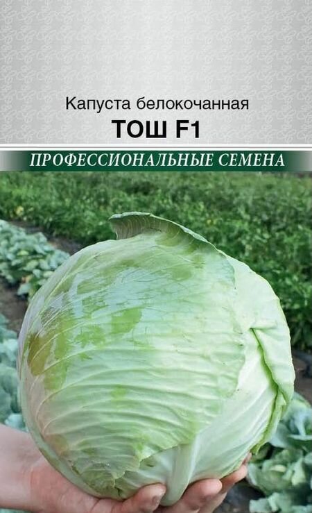 Семена растения капуста б/к тош f1
