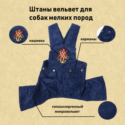 Штаны-джинсы вельвет для собак мелких пород, нашивка Якорь, размер S, цвет синий
