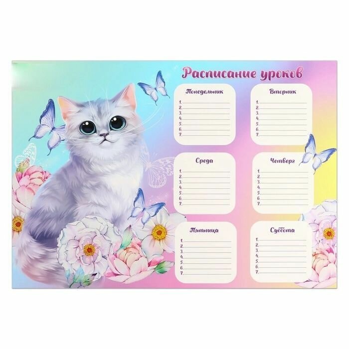 Расписание уроков "Еще милее"