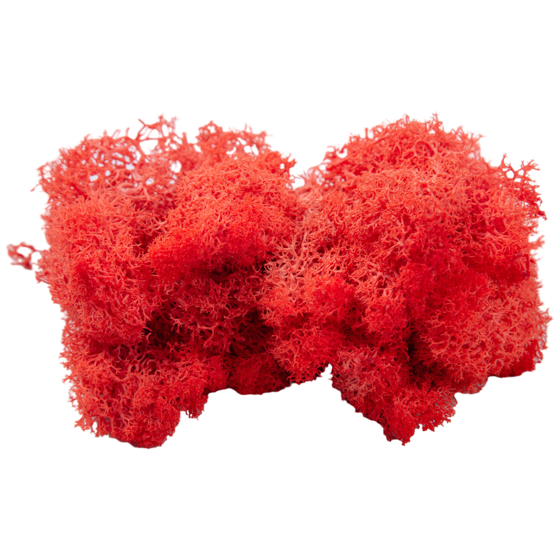 Вечный мох, имитация оленьего мха, большой красный, для украшения стен, подарочная коробка