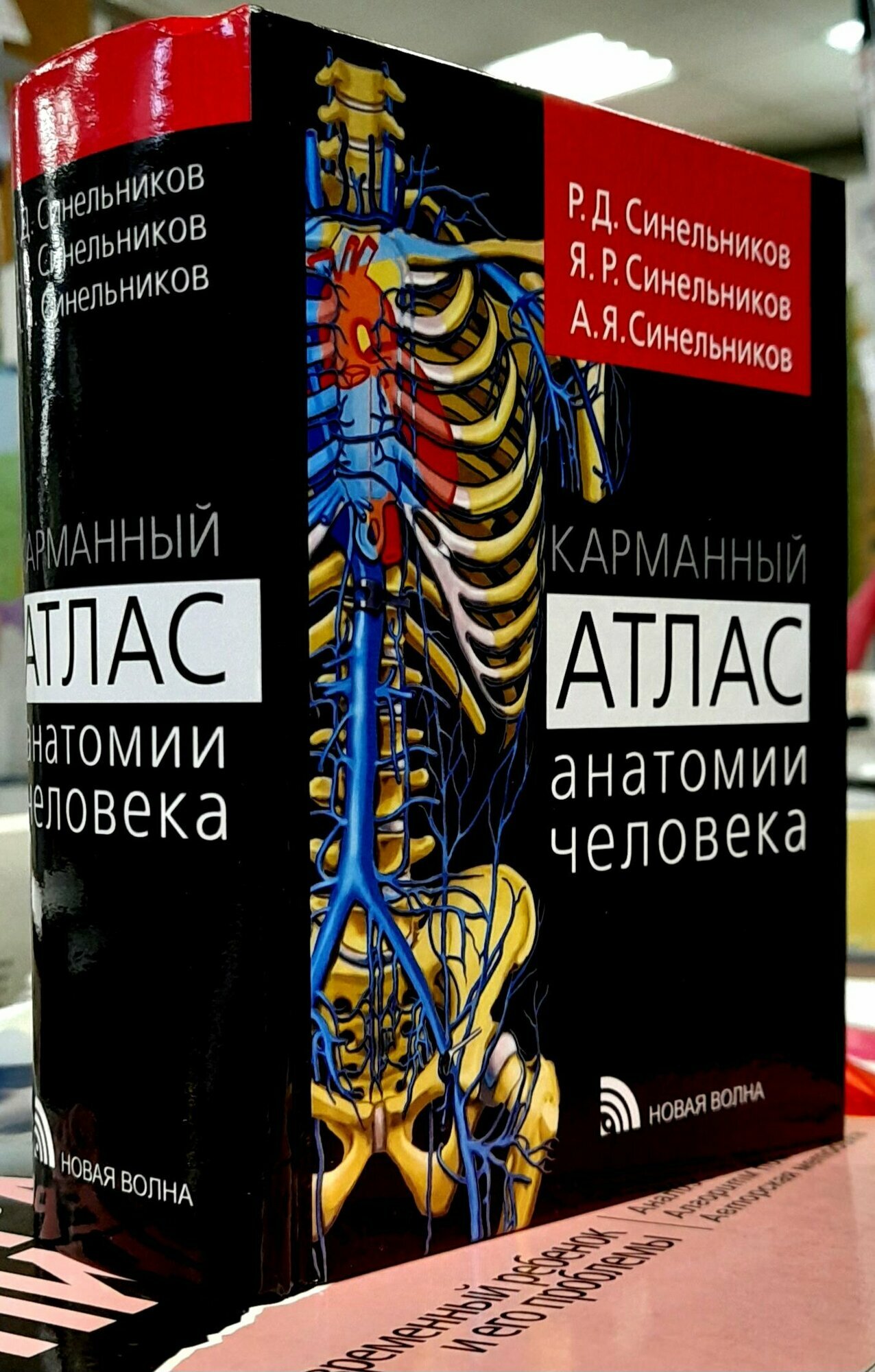 Карманный атлас анатомии человека. Синельников.