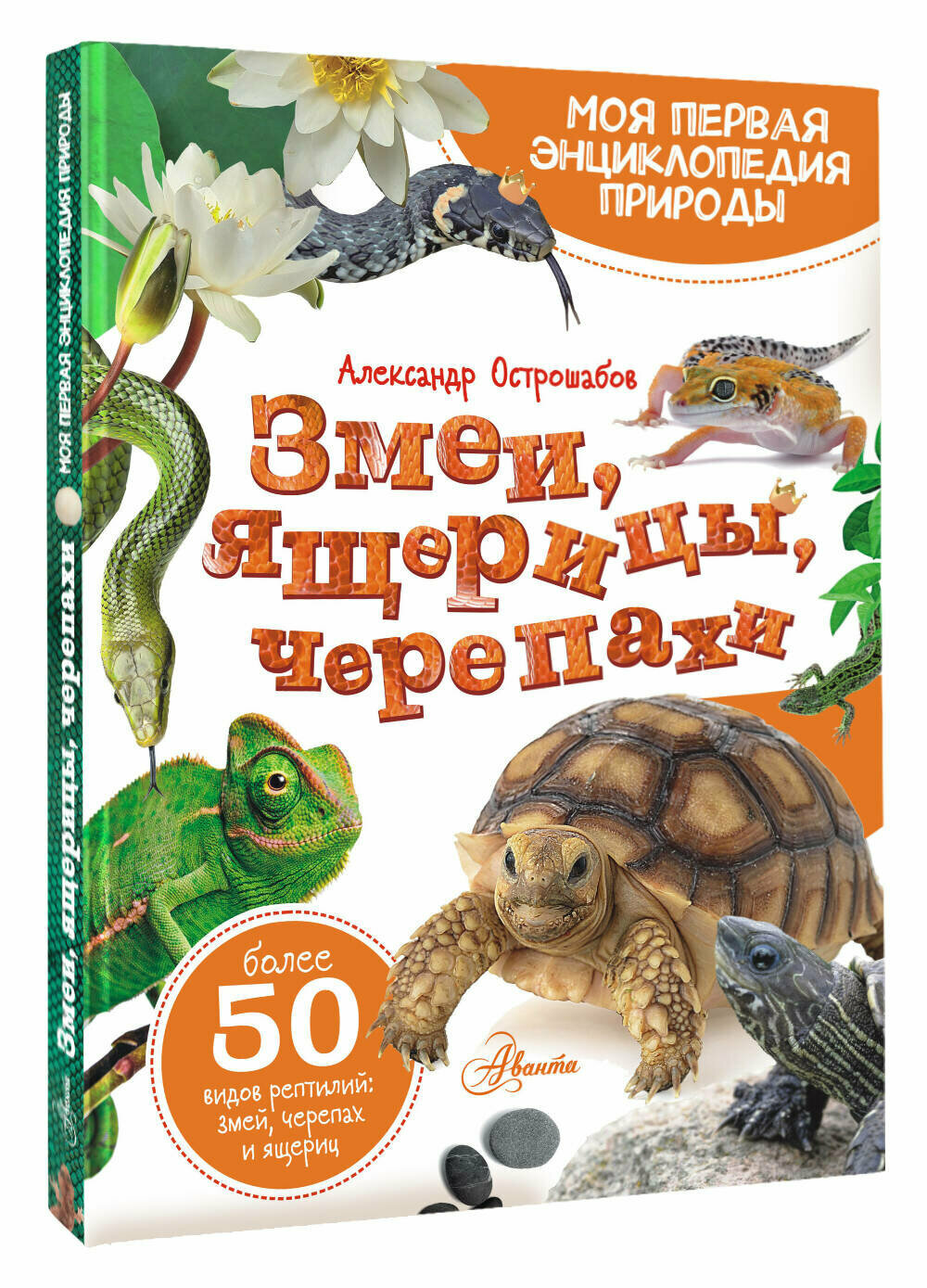 Змеи, ящерицы, черепахи Острошабов А. А.