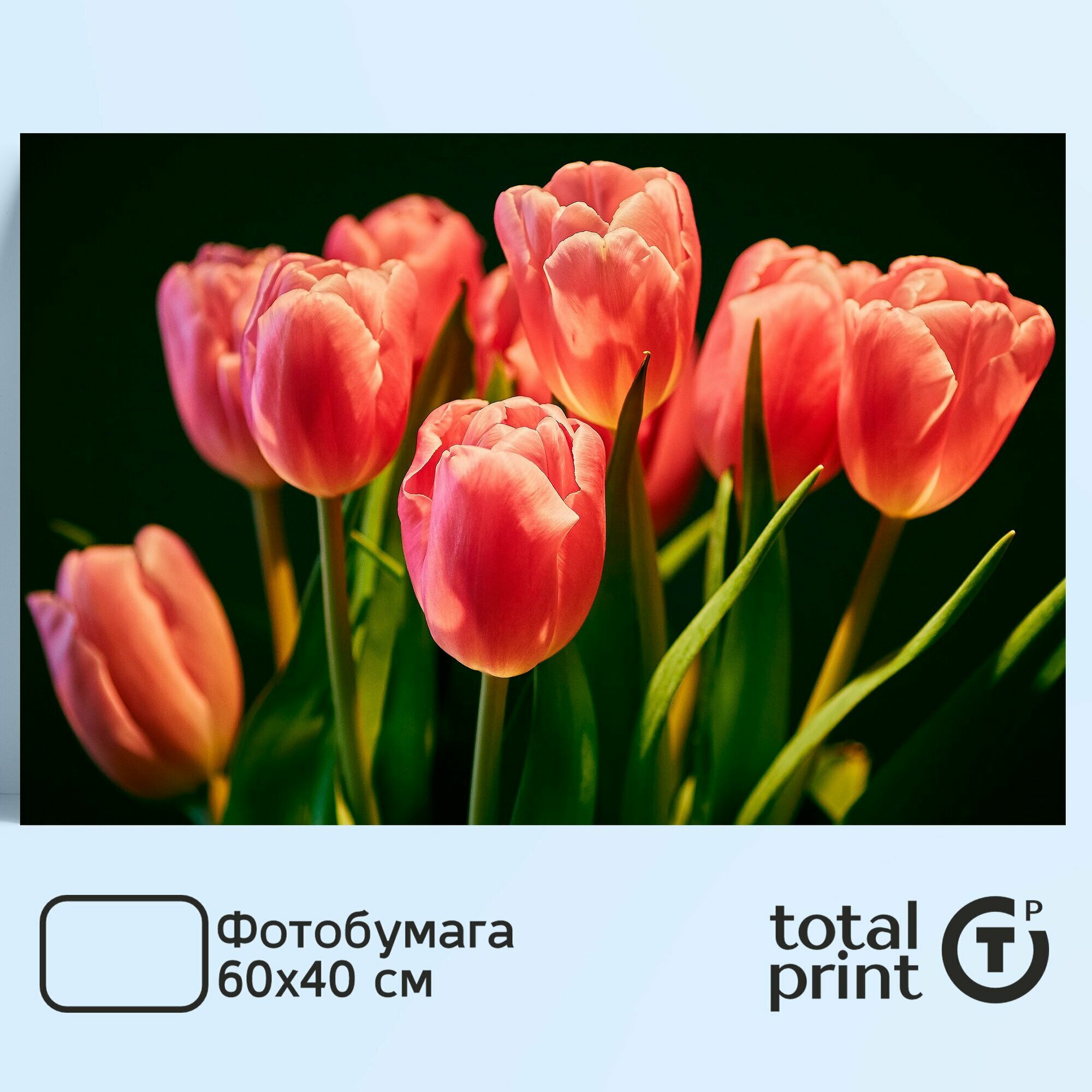 TotalPrint Постер для интерьера, Цветы, букет, композиция, 60х40см.