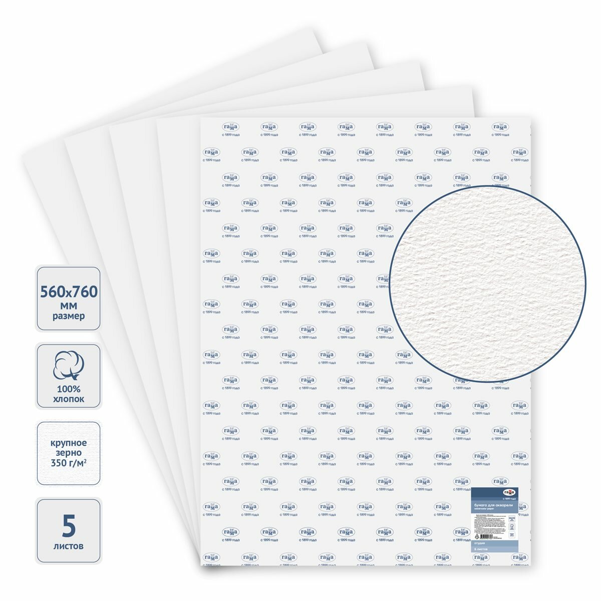 Бумага для акварели 560x760мм, 5л Гамма "Студия" (350 г/кв. м, крупное зерно, 100% хлопок) (25C00L85W35CG)