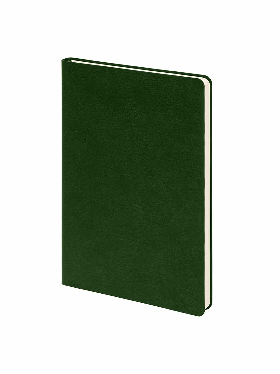 Бизнес-блокнот записная книжка, тетрадь "Funky" А5, зеленый, красный форзац, мягкая обложка, в линейку