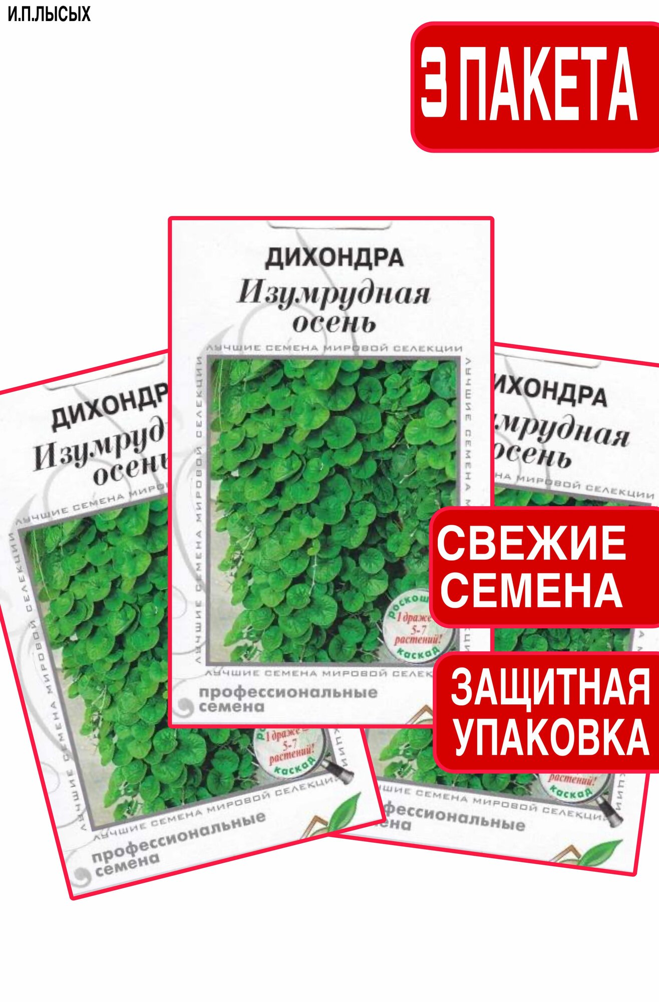 Семена Дихондра "Изумрудная осень"