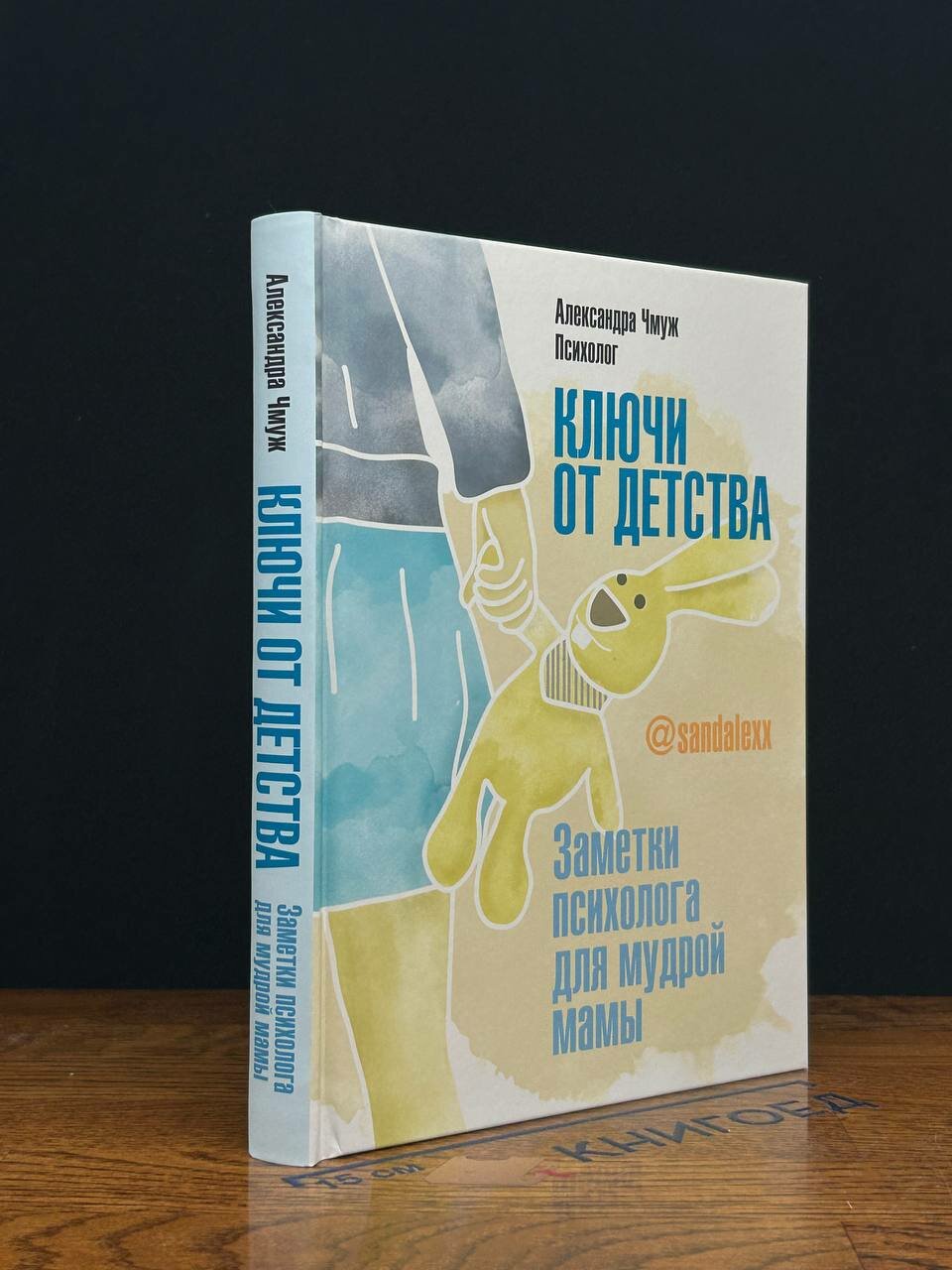 Книга. Ключи от детства. Заметки психолога для мудрой мамы 2022 (2042542100914)