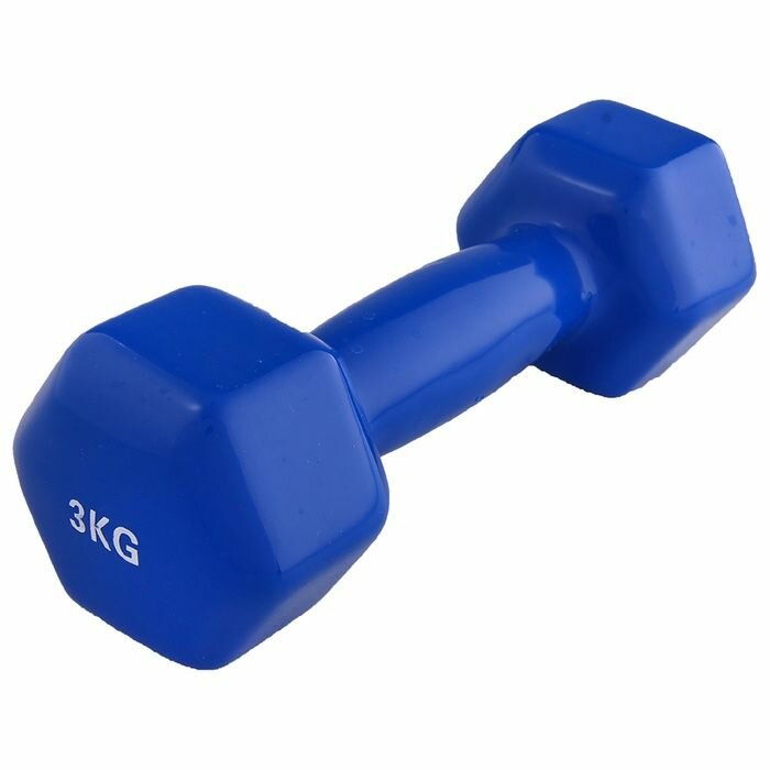 Гантель ONLITOP виниловая 3 кг
