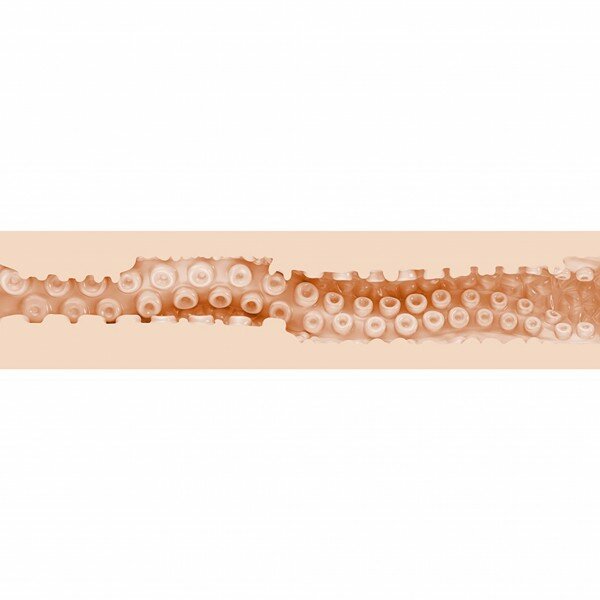 Мастурбатор Fleshlight Fantasy Sasha Nakamoto Ecchi