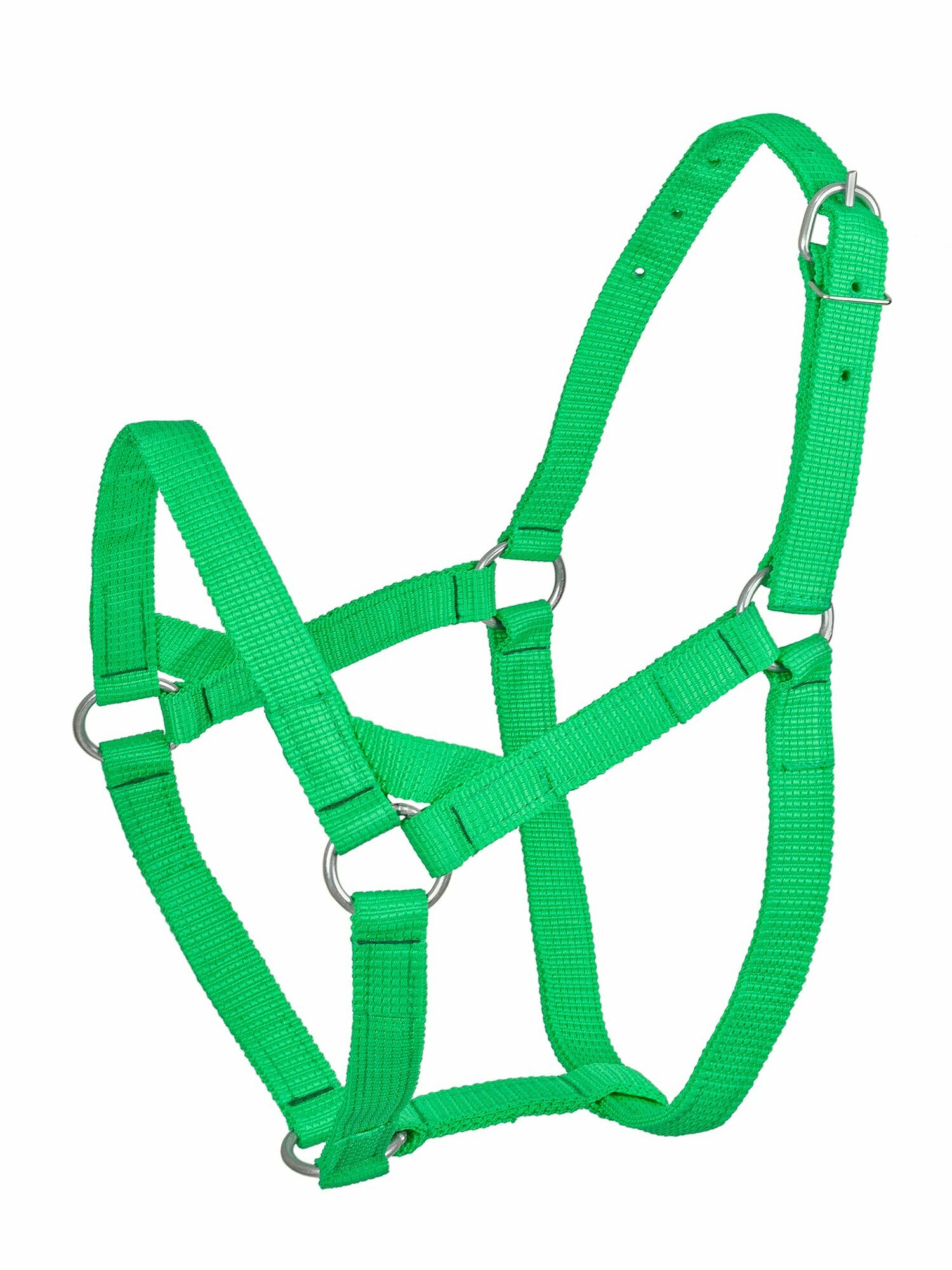 Недоуздок REITER, для лошадей, тройной, нейлон, 25мм, светло-зелёный