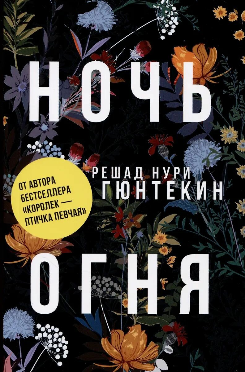 Книга Черная речка Ночь огня: роман, мягкая обложка. Гюнтекин Р. Н, 2023 г