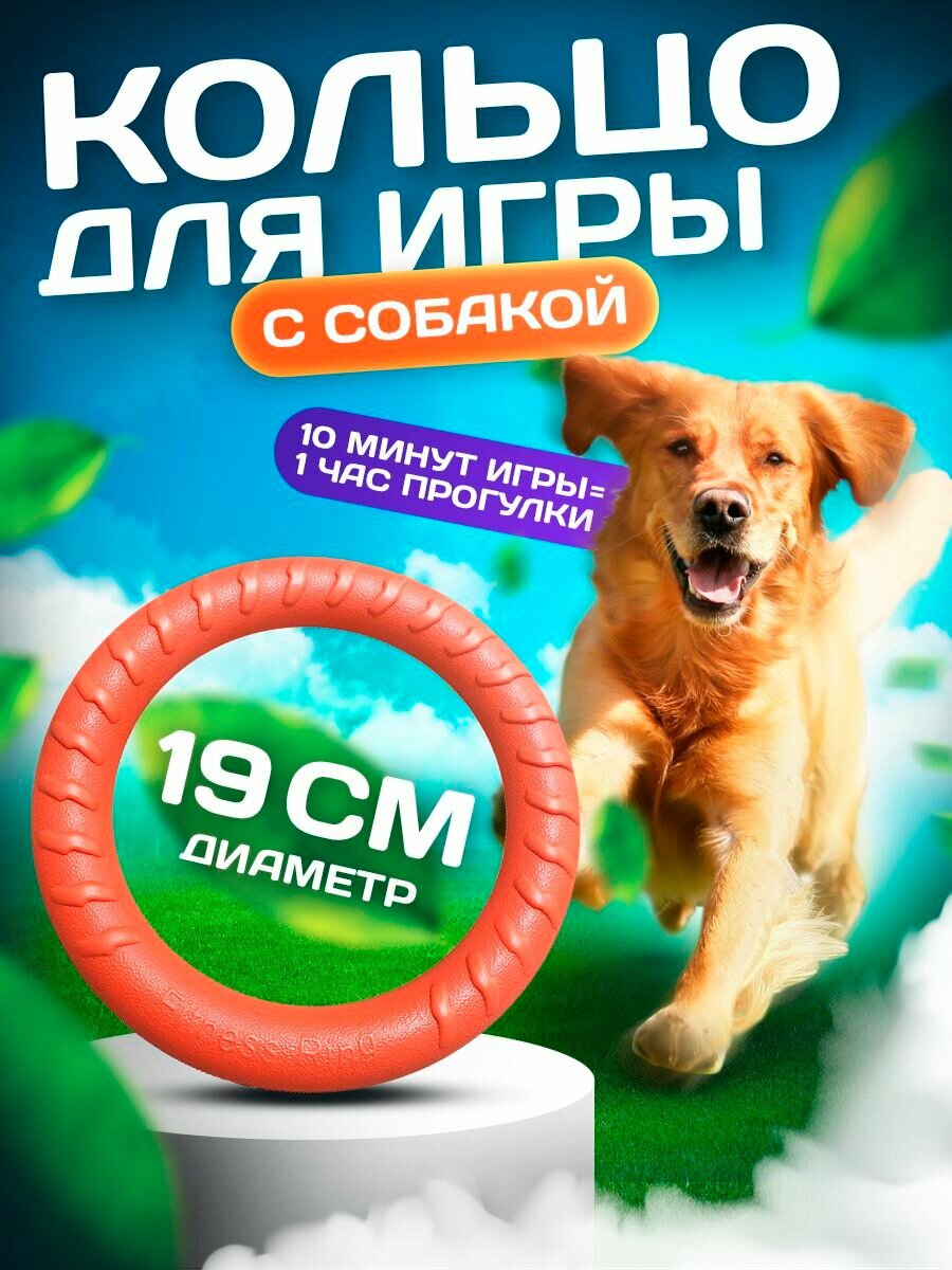 Эксклюзивный пуллер 20 см для активных собак