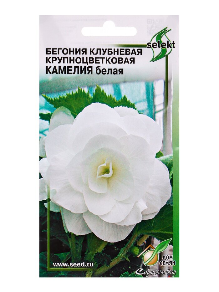 Семена цветов Бегония крупноцв. Камелия белая 10 шт 10965538