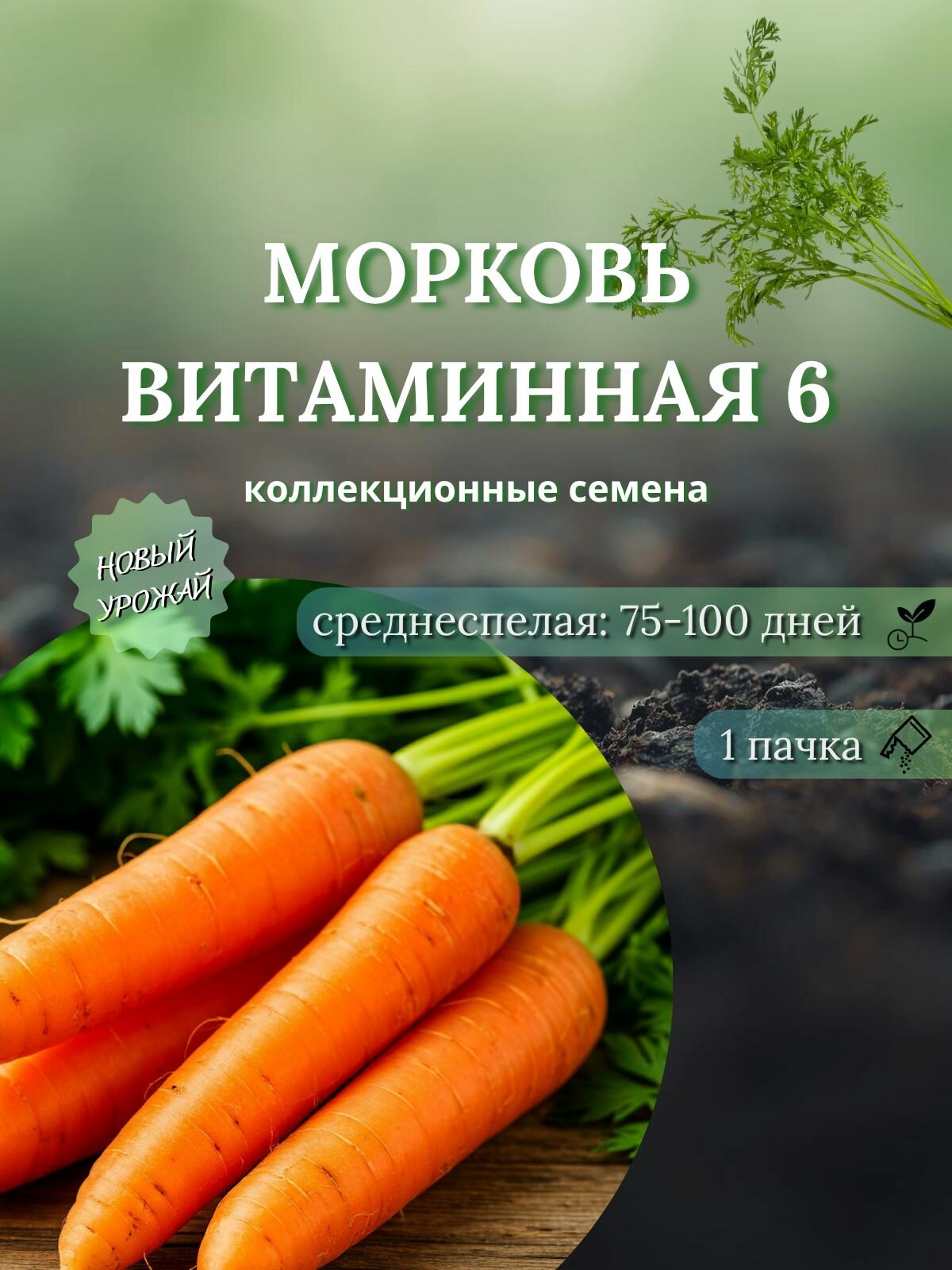 Морковь Витаминная 6, коллекционные семена, 10 шт.