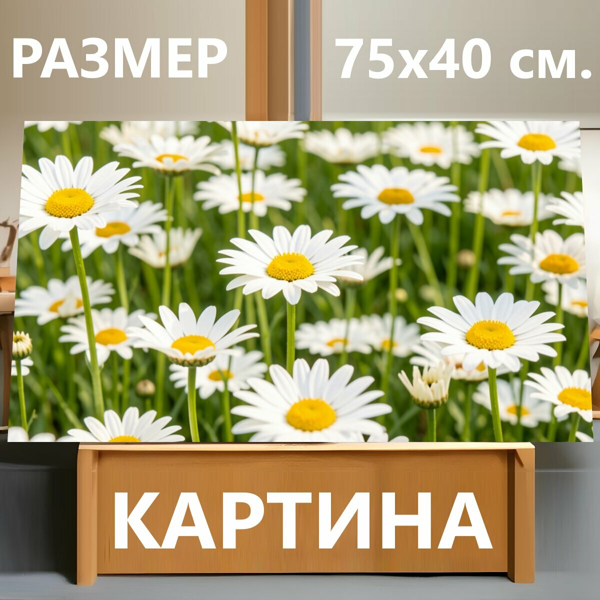 Картина на холсте "Поле ромашек в зелени. Утреннее цветочное поле с белоснежными лепестками и яркими жёлтыми сердцевинами на фоне сочной травы." на подрамнике 75х40 см. для интерьера