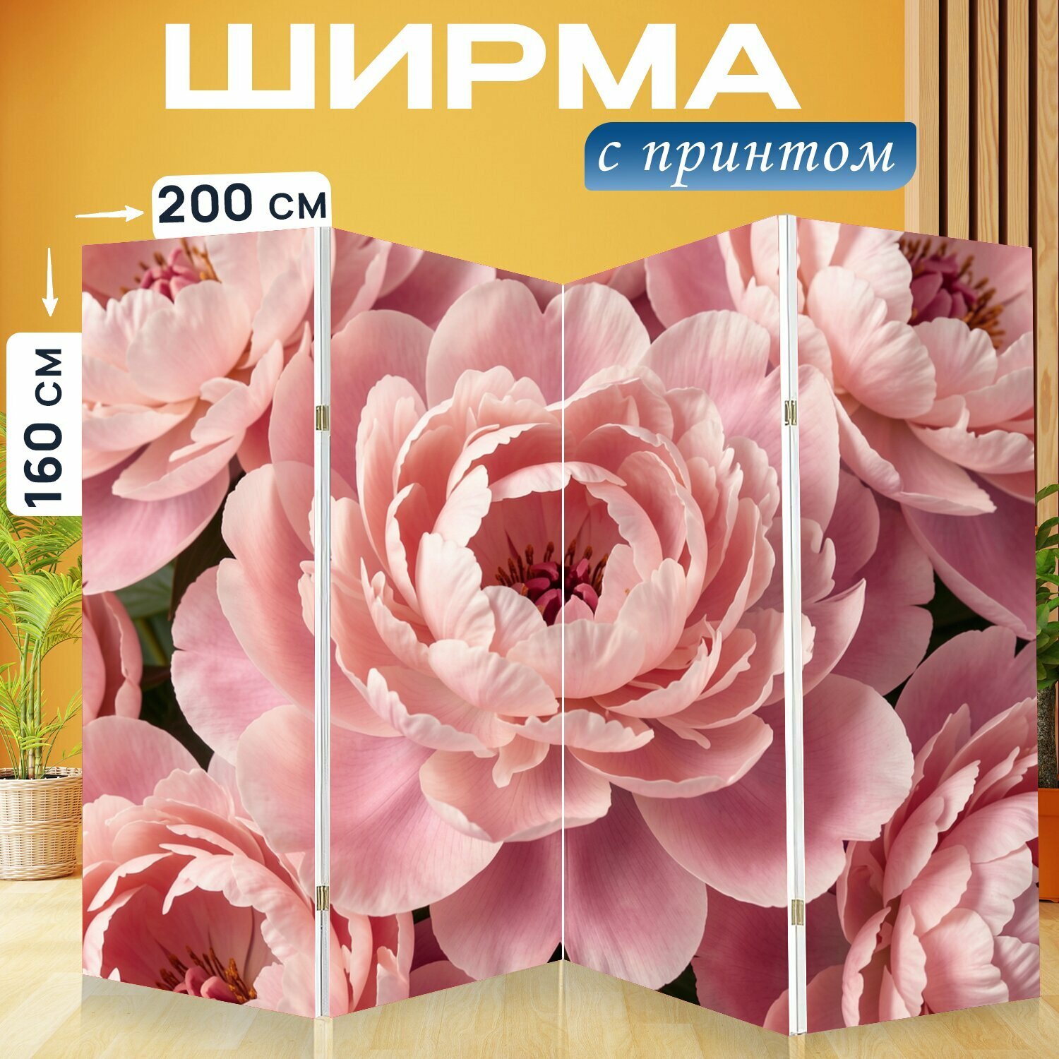 Ширма "Нежные розовые пионы. Пышные махровые цветы в пастельной палитре с мягкими лепестками и выразительными." перегородка для зонирования комнаты с принтом 200x160 см. на холсте