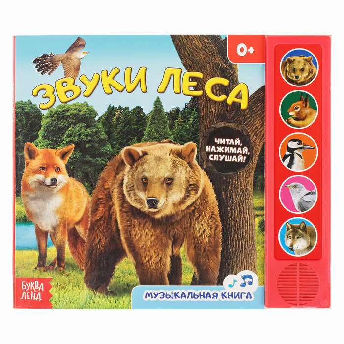 Музыкальная книга Звуки леса , 10 стр.