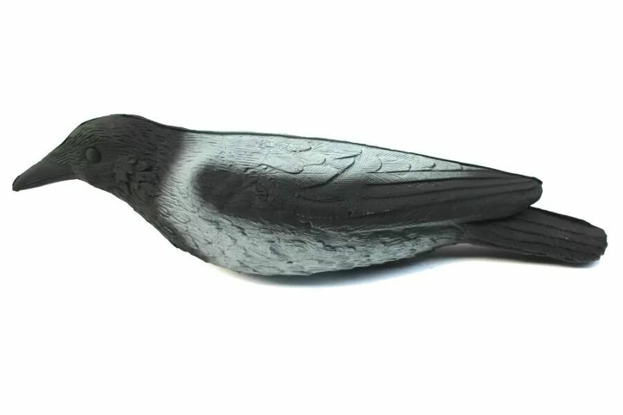 Чучело (муляж) вороны