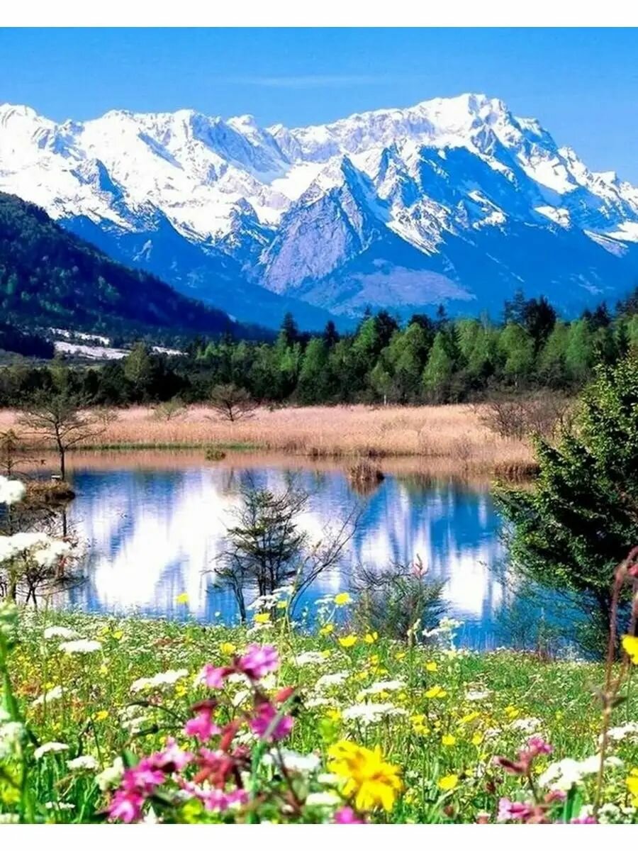 Алмазная мозаика на подрамнике 40х50 полная выкладка круглые стразы. Творчество для взрослых и детей