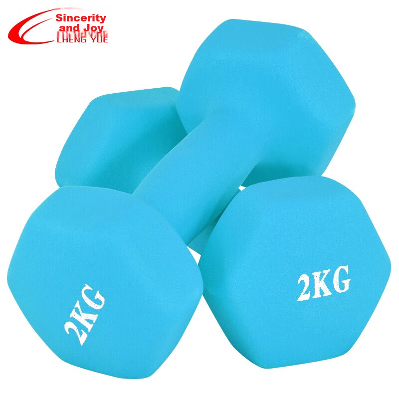 Chengyue Colored Powder-Coated Dumbbells for Men And Women, Home Fitness Shaping Equipment Set, 2kg*2, Calming Blue, CY-130