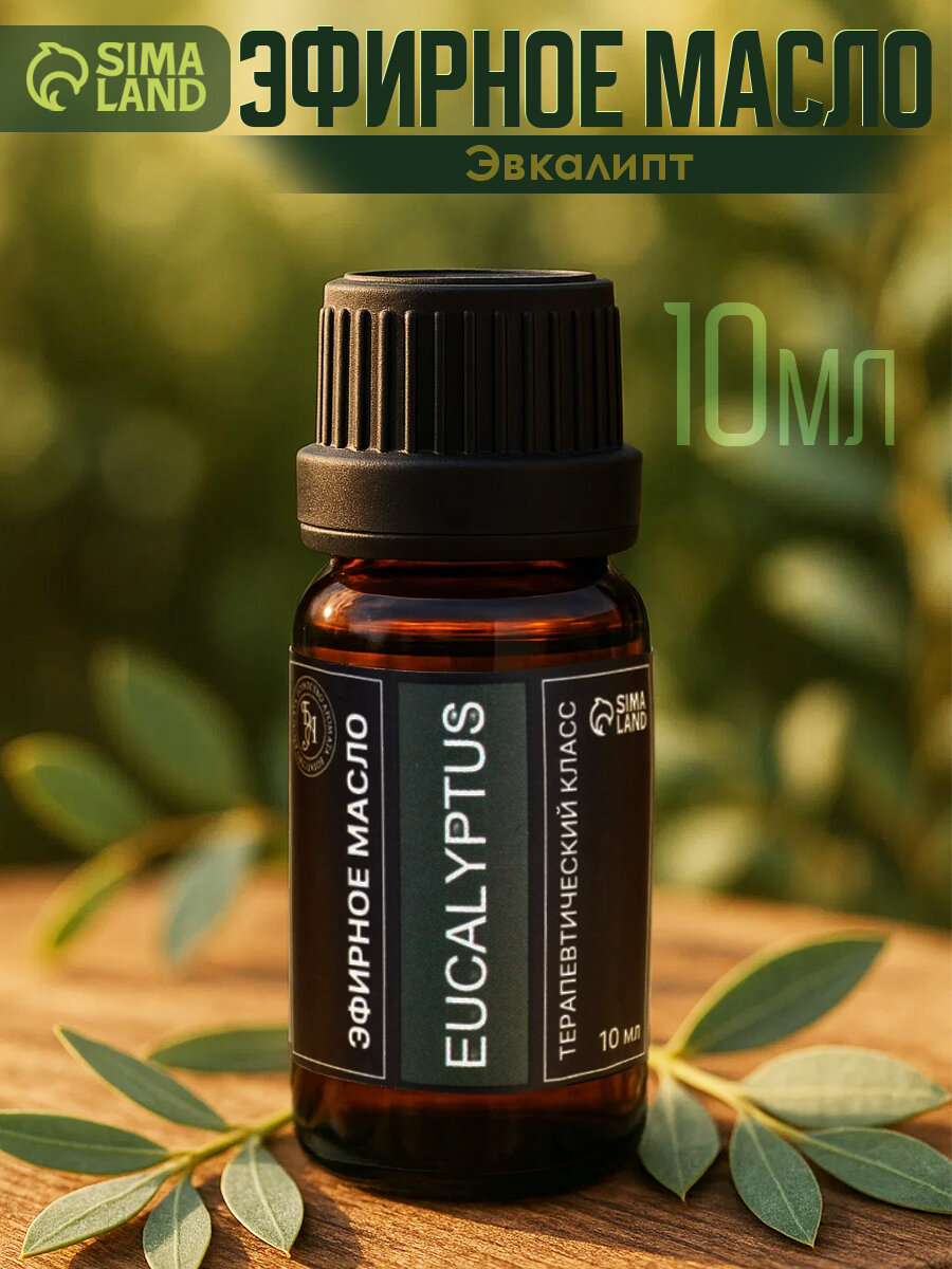 Эфирное масло «Эвкалипт», 10 миллилитров, в тубусе, хвойный аромат
