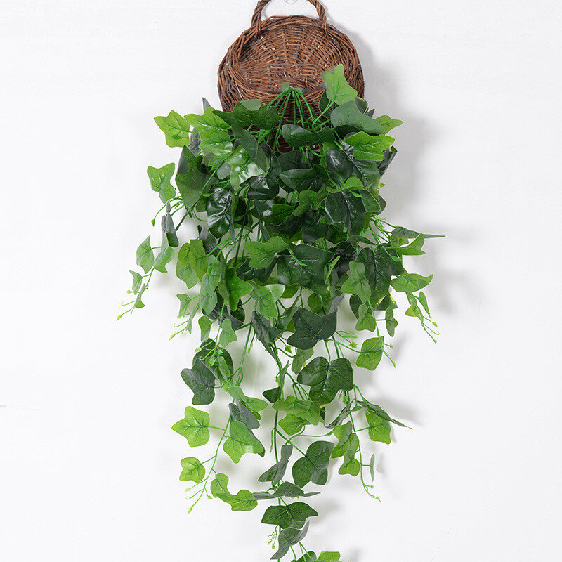 Эпипремнум ауреум зелёное растение настенное оформление с литьевой техникой для свадьбы внутри помещения и фотосессий лист