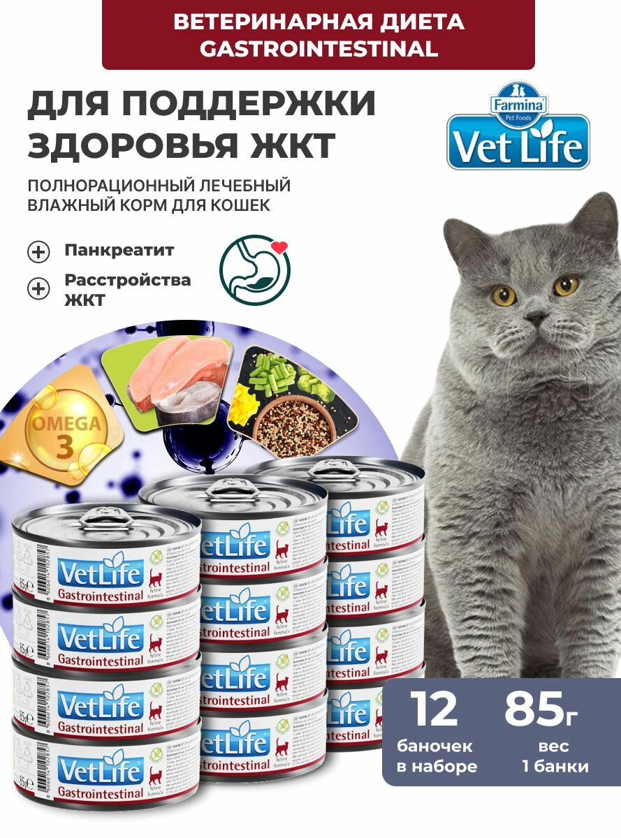 Vet Life При болезнях ЖКТ Для кошек 12 шт х 85гр Gastrointestinal Влажный диетический корм farmina вет лайф Гастроинтестинал