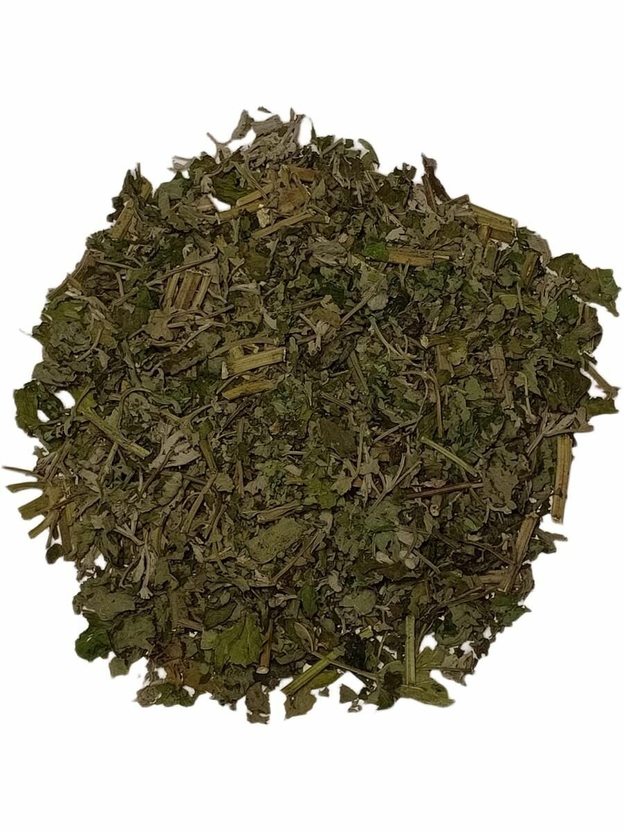 Мелисса (трава)