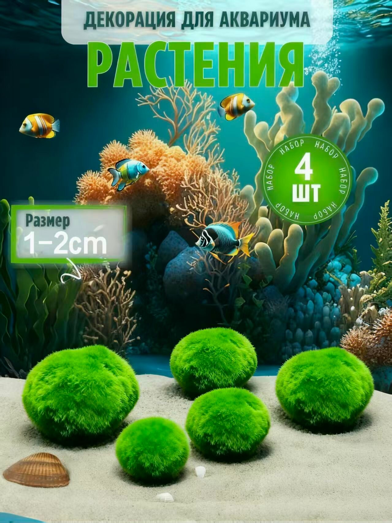 Кладофора шаровидная мох маримо (Aegagropila linnaei) 1-2см/4шт