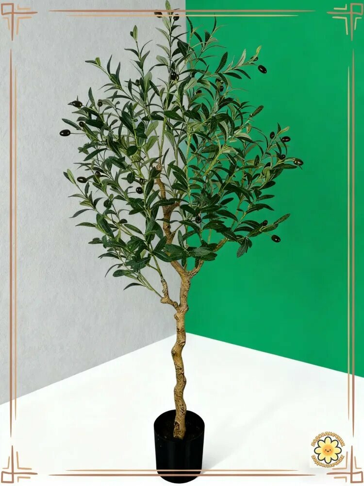 Стабилизированные цветы Олива, 120 см, 3000 гр, 1 шт