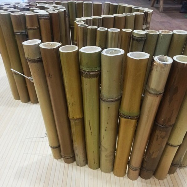 Забор из бамбука рулонный 0,3х3м. (золото)