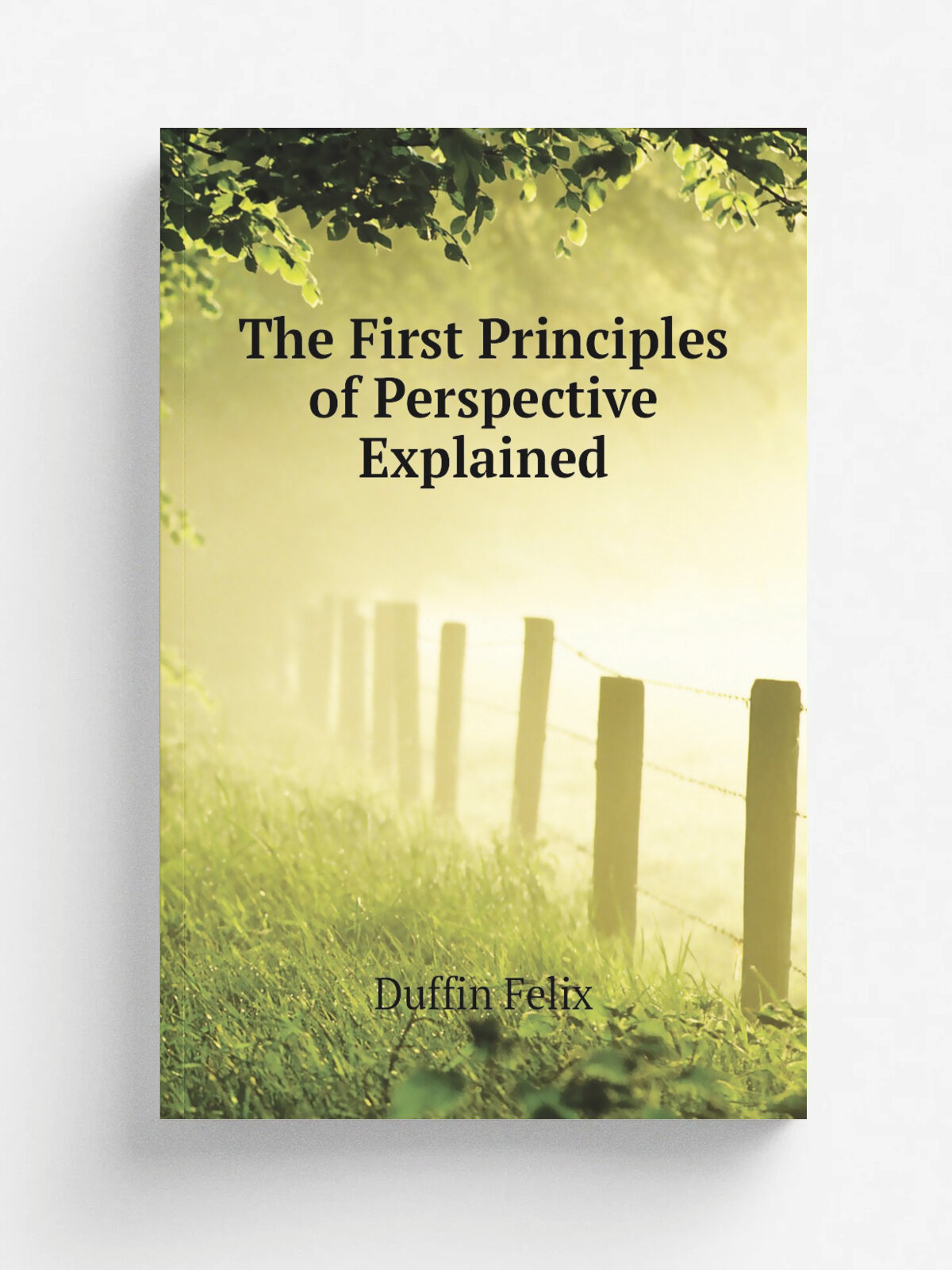 The First Principles of Perspective Explained | Duffin Felix | Репринт