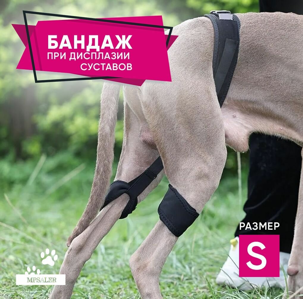 Бандаж при дисплазии тазобедренного сустава собак (дтбс), на лапы размер S.