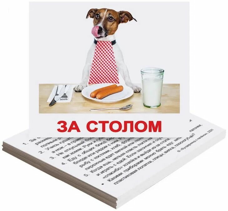 Обучающие карточки Домана Вундеркинд с пеленок "Мини-40. Правила поведения", 40 развивающих двусторонних карточек с фактами, 8х10 см