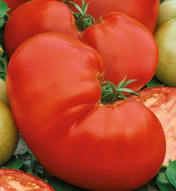 Семена Томат Медвежья лапа 20 шт.