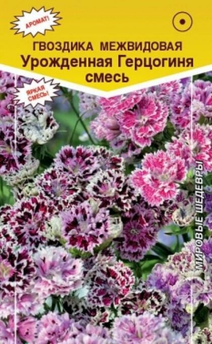 Семена растения гвоздика межвидовая урожденная герцогиня, смесь