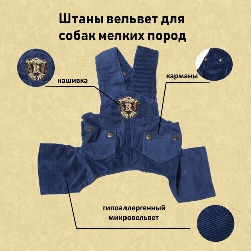 Штаны-джинсы вельвет для собак мелких пород, нашивка R, размер XS, цвет синий