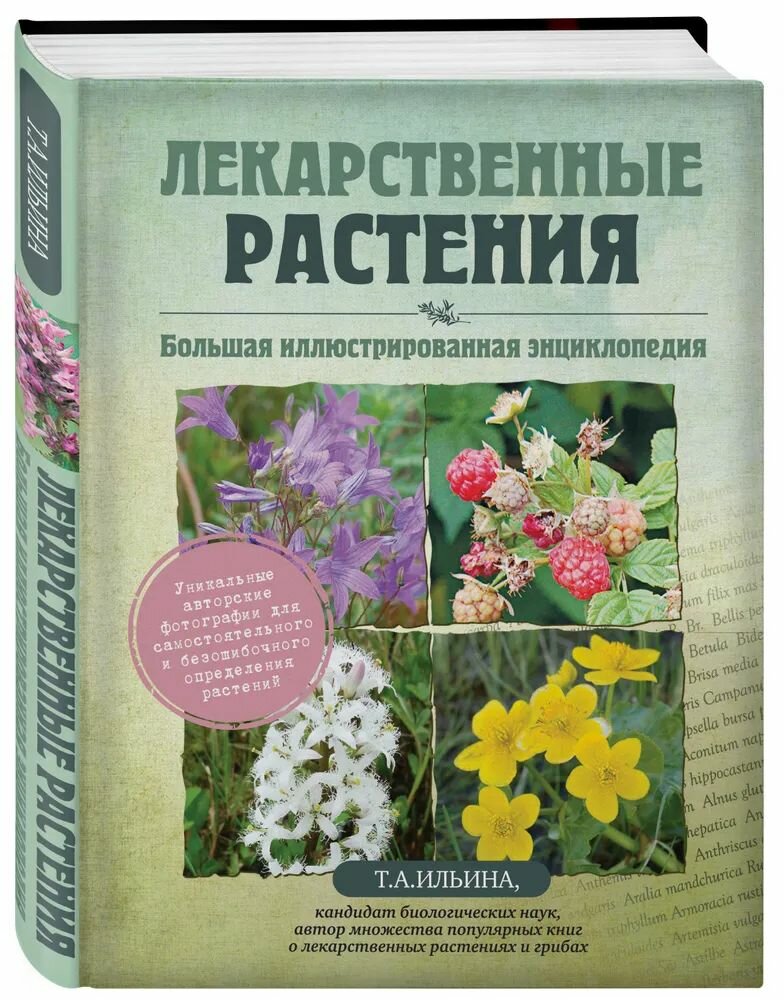 Лекарственные растения. Большая иллюстрированная энциклопедия Ильина Татьяна Александровна