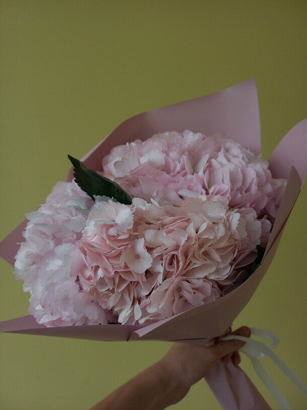 Букет Well Flowers "Невероятный", 3 гортензии, круглый, XL, букет свежих цветов