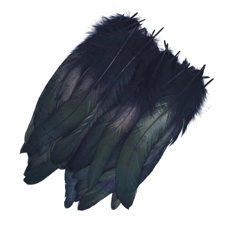 50 шт. окрашенные перья петуха FlyReal 15-20 см Темно-зеленый, Black