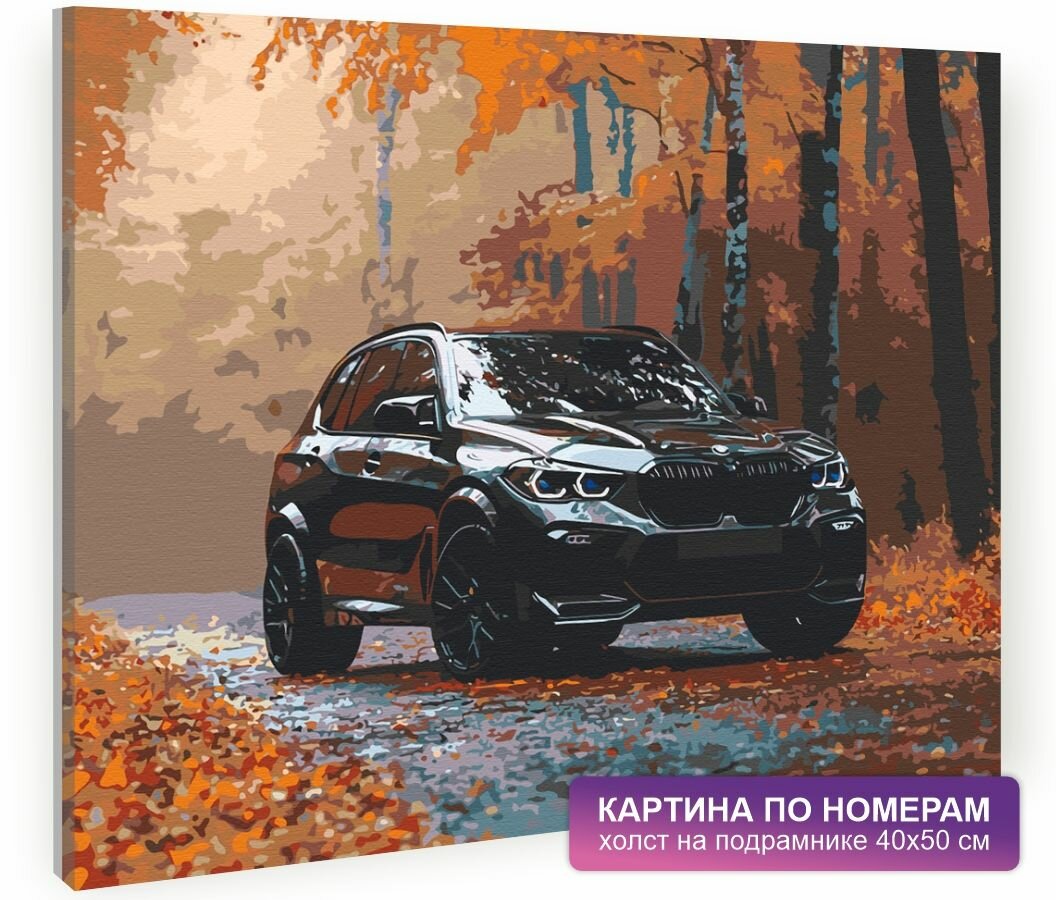 Картина по номерам на холсте с подрамником 40х50 см. Автомобиль, машина. "БМВ BMW X5", арт. 5634/