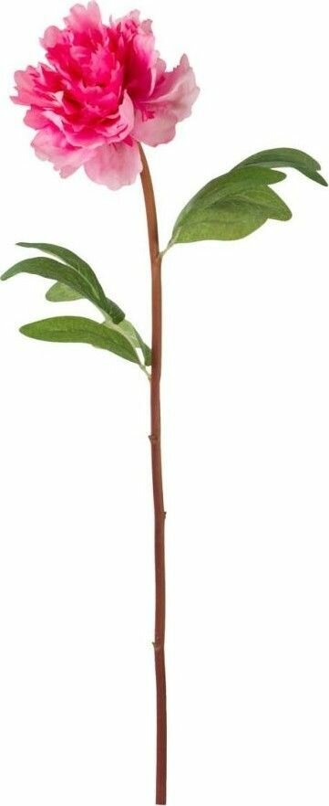 Искусственный цветок Пион 20х8х47см