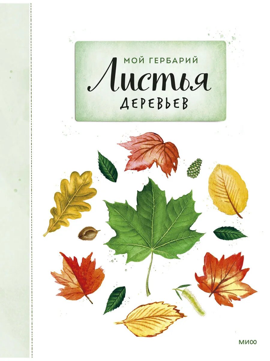 Мой гербарий. Листья деревьев(переупак)