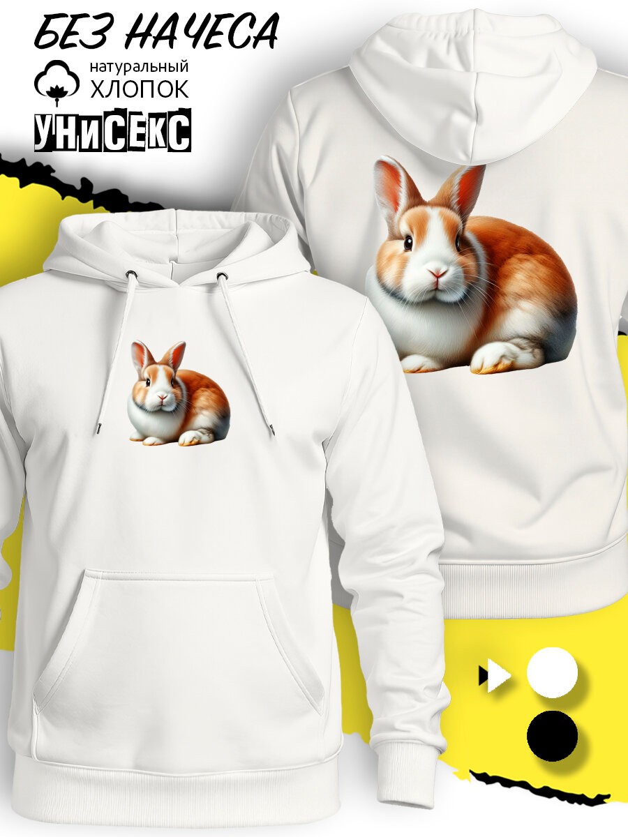 Худи Толстовка свитшот с кроликом